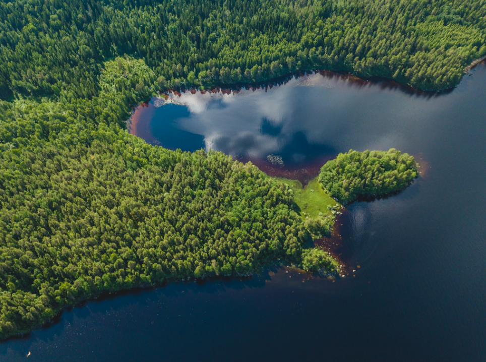 PAALI – Paikkariippumattomuus yrityksissä ja miten se vaikuttaa ...